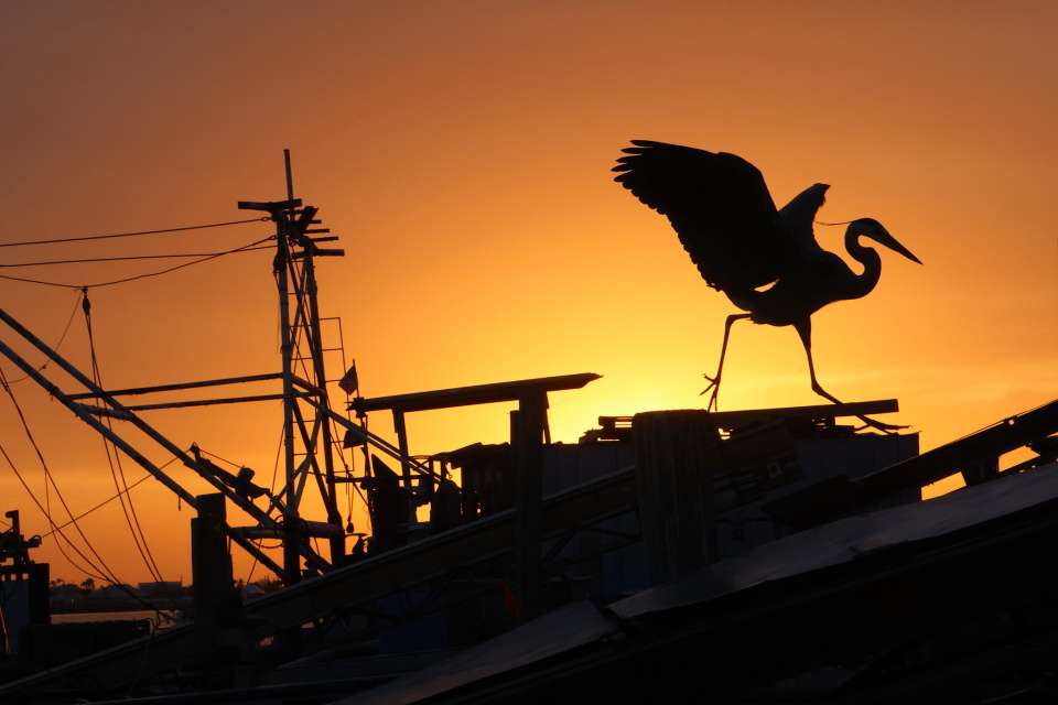 Tonya Tight-roping at Twilight | outdoorguy | Blipfoto