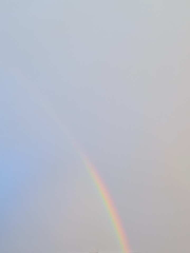 Glimmer of Colour | cyclops | Blipfoto