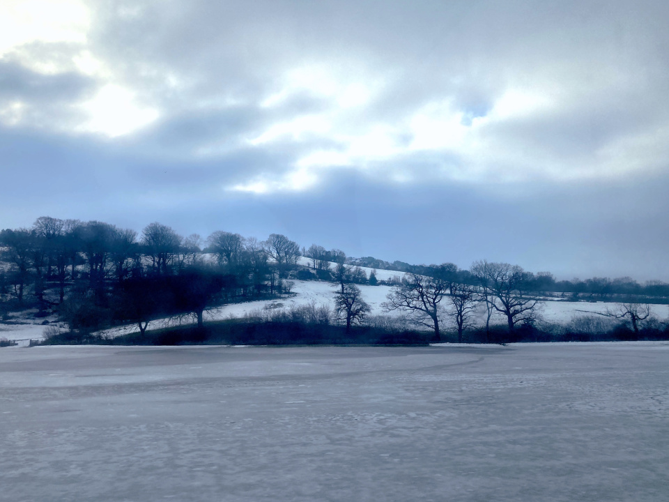 Freebie | mambo | Blipfoto