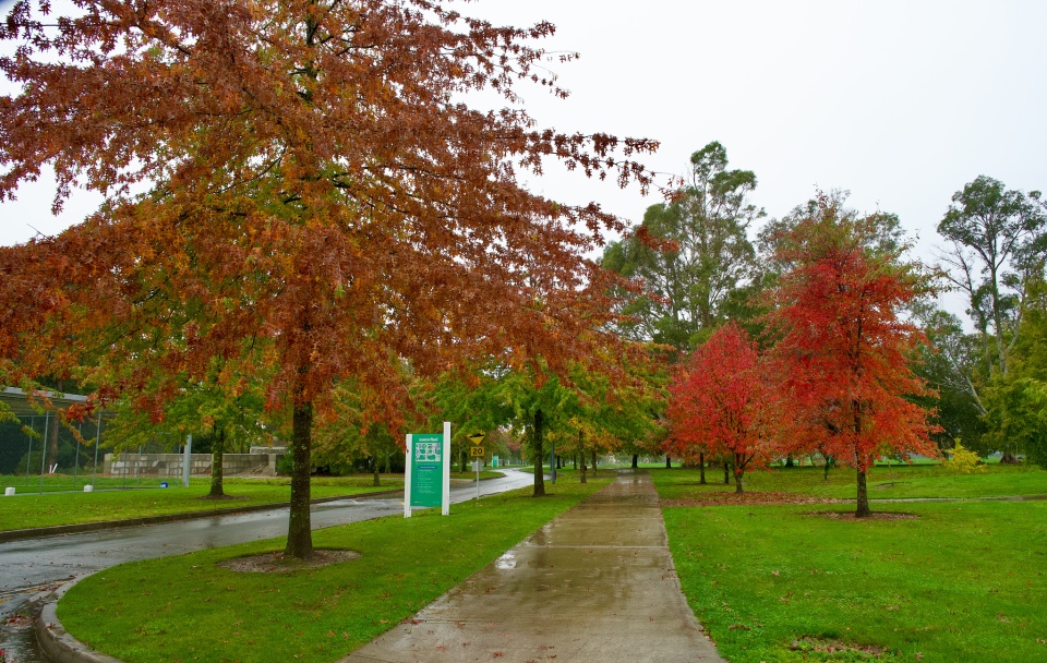 Mono Monday? | AndrewNZ | Blipfoto