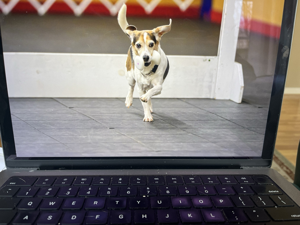 Whew! | dbifulco | Blipfoto