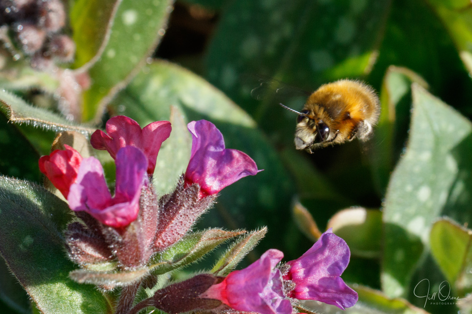 Approach | JDO | Blipfoto