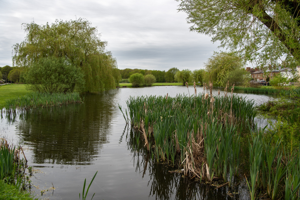 West End Pond | NickyR | Blipfoto