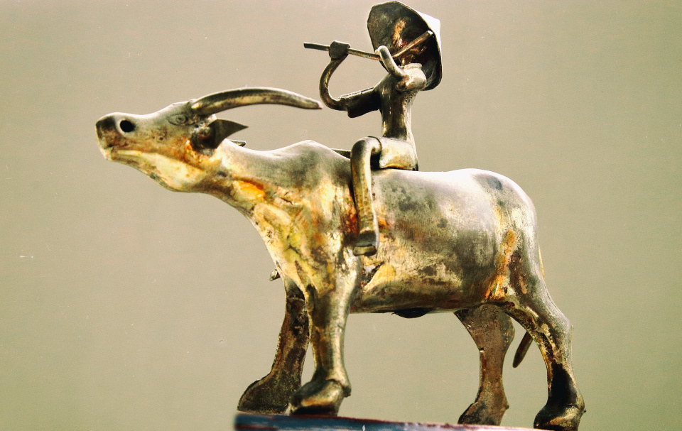 BULL AT A GATE | QuerkyPoo | Blipfoto