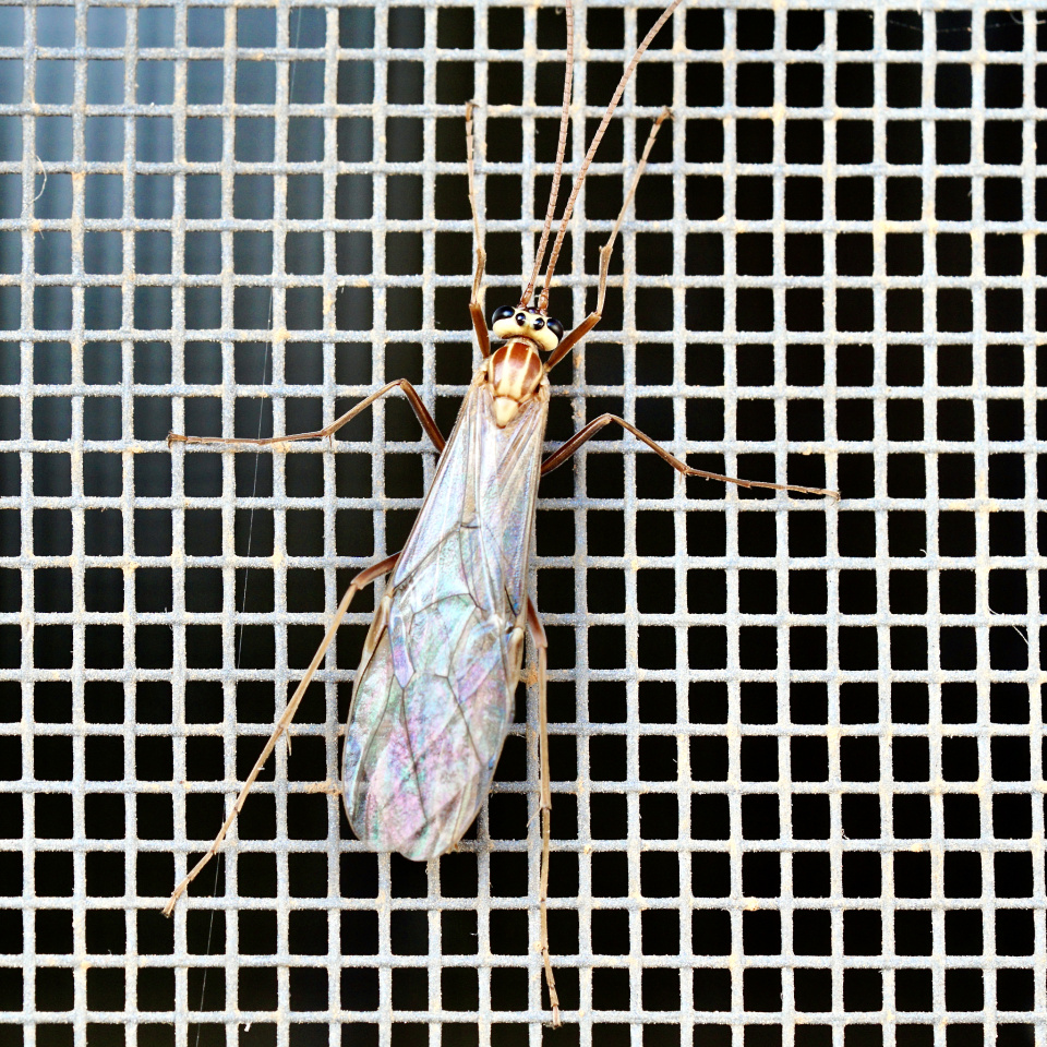 Barred entry | lesmark | Blipfoto