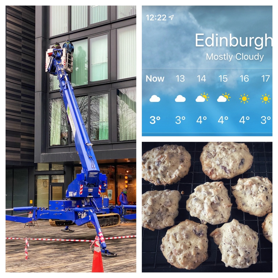 Spring Unravelled | LadyFindhorn | Blipfoto