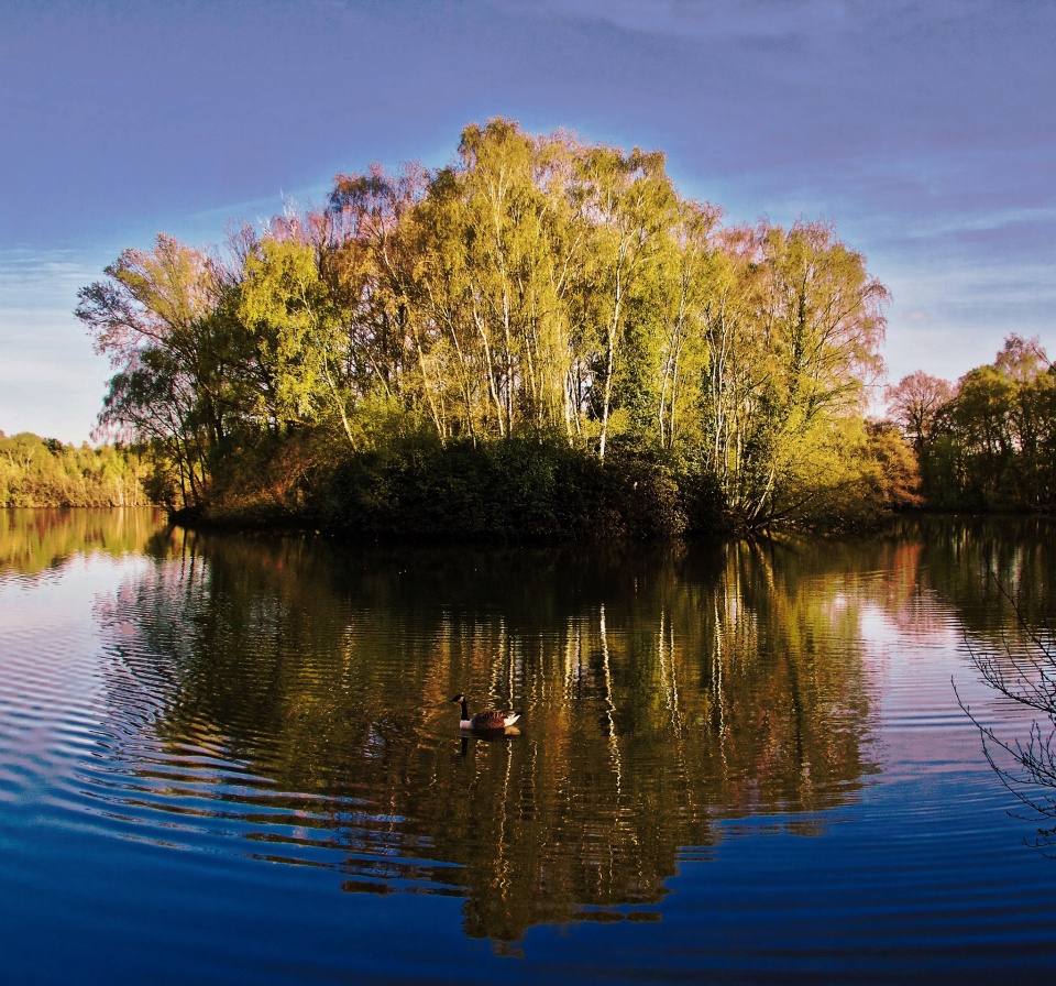 Shakerley Mere, Knutsford | Adrian2912 | Blipfoto