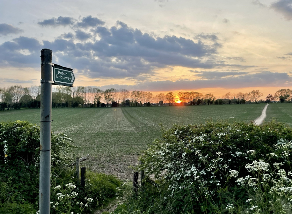 Evening Walk | HeidiAndDolly | Blipfoto