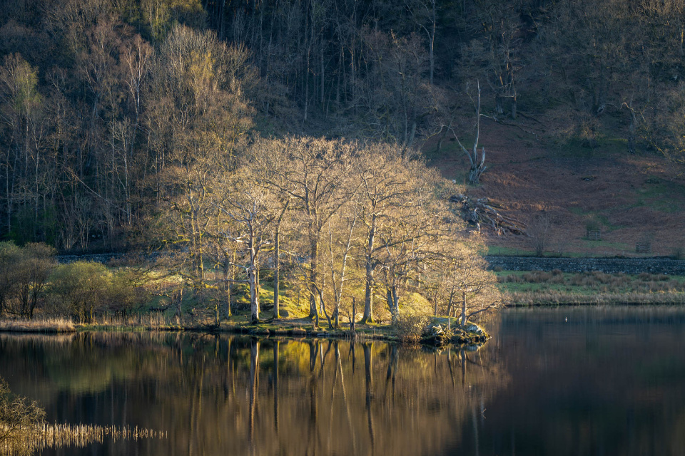 Lit Up | GrahamColling | Blipfoto