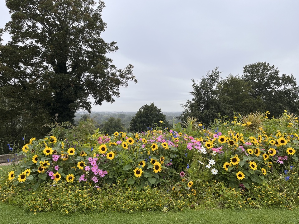 Rain in Richmond | bookworm | Blipfoto