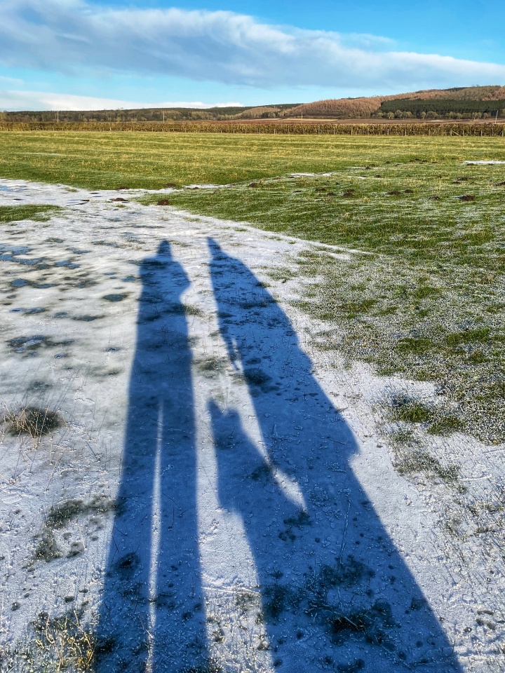 The shadow in between | gladders | Blipfoto