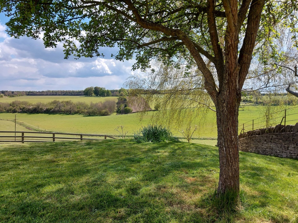 Under the May Tree! | Stiffknees | Blipfoto