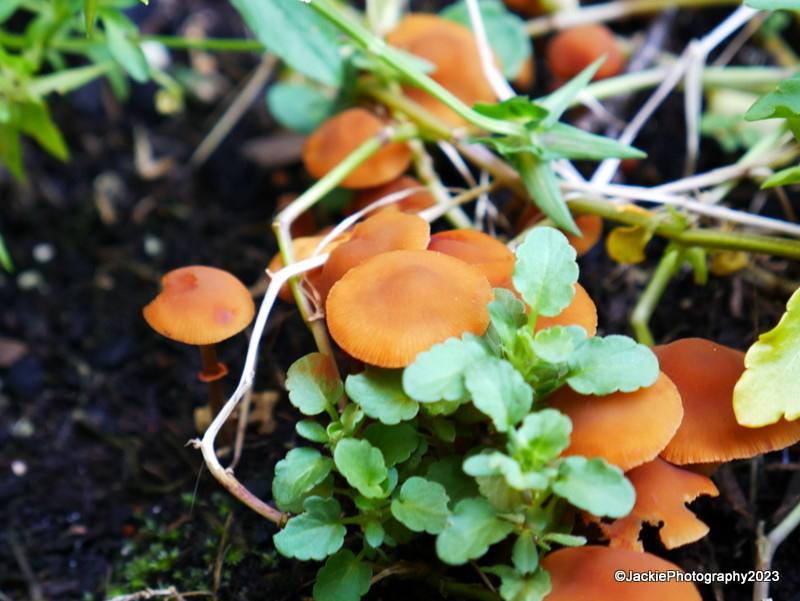 Shocked | ThingsBeautiful | Blipfoto