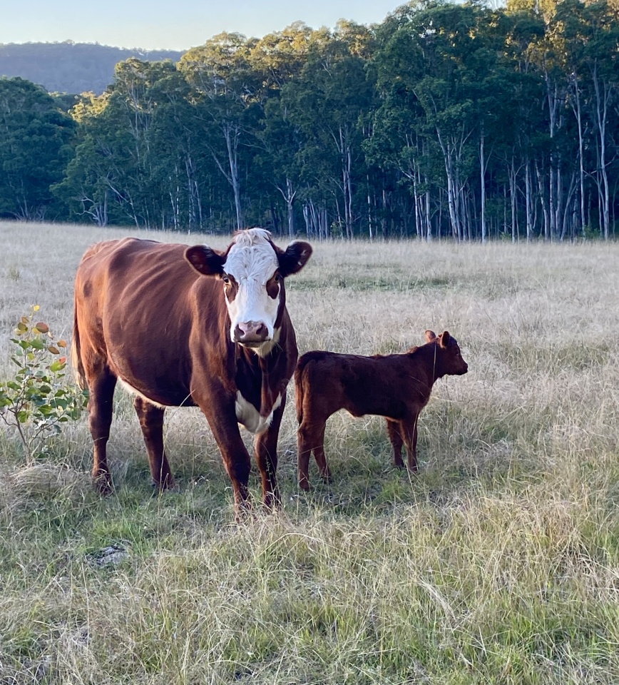 Hardly tiny ….. | isbiJG | Blipfoto