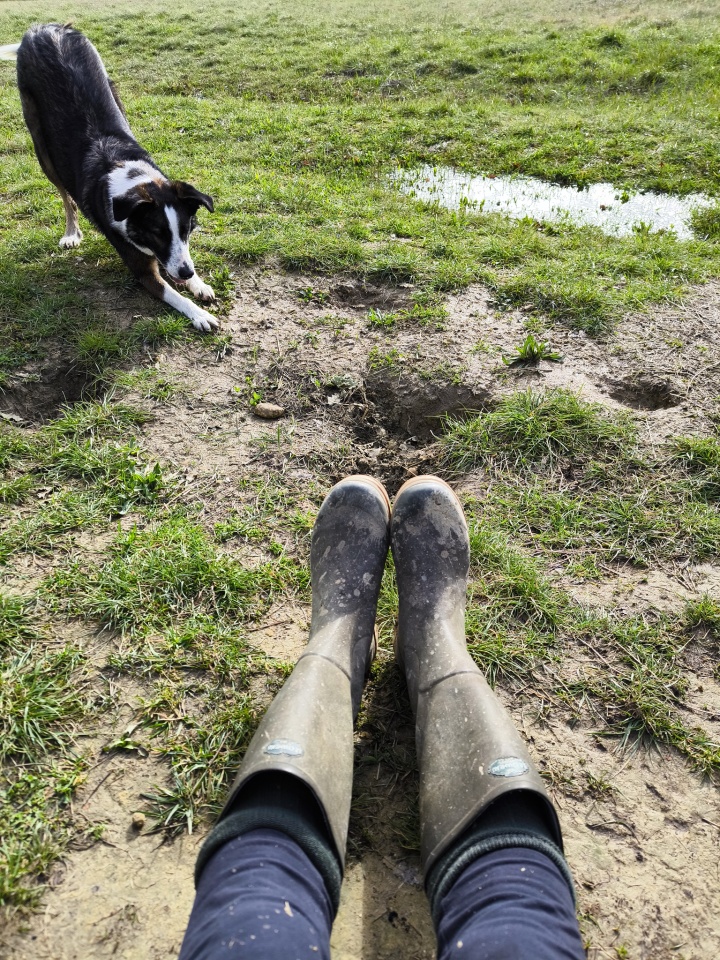 Eulogy to an old pair of boots | journiesathome | Blipfoto