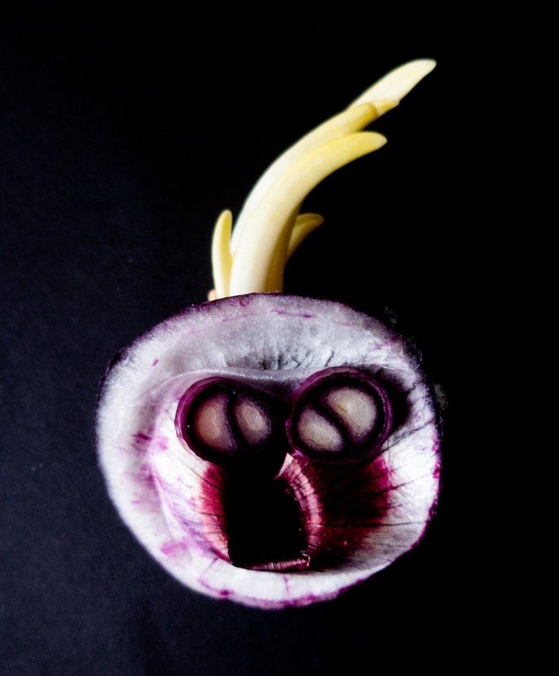 Onion Face | Kernow | Blipfoto
