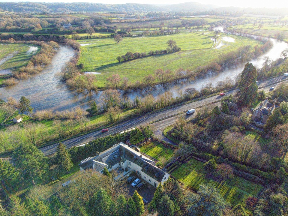 Nolly | BobsBlips | Blipfoto