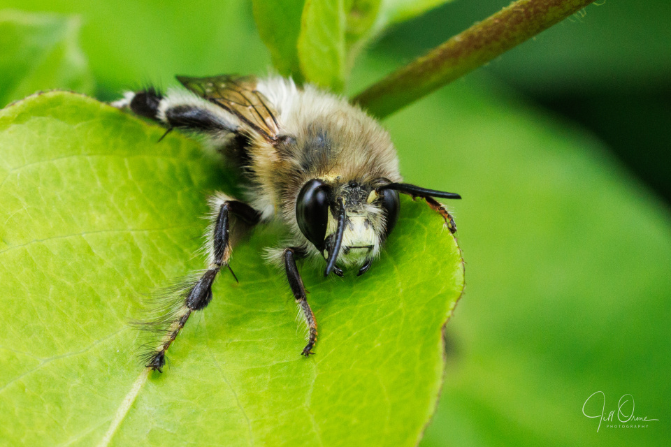 Crashed | JDO | Blipfoto