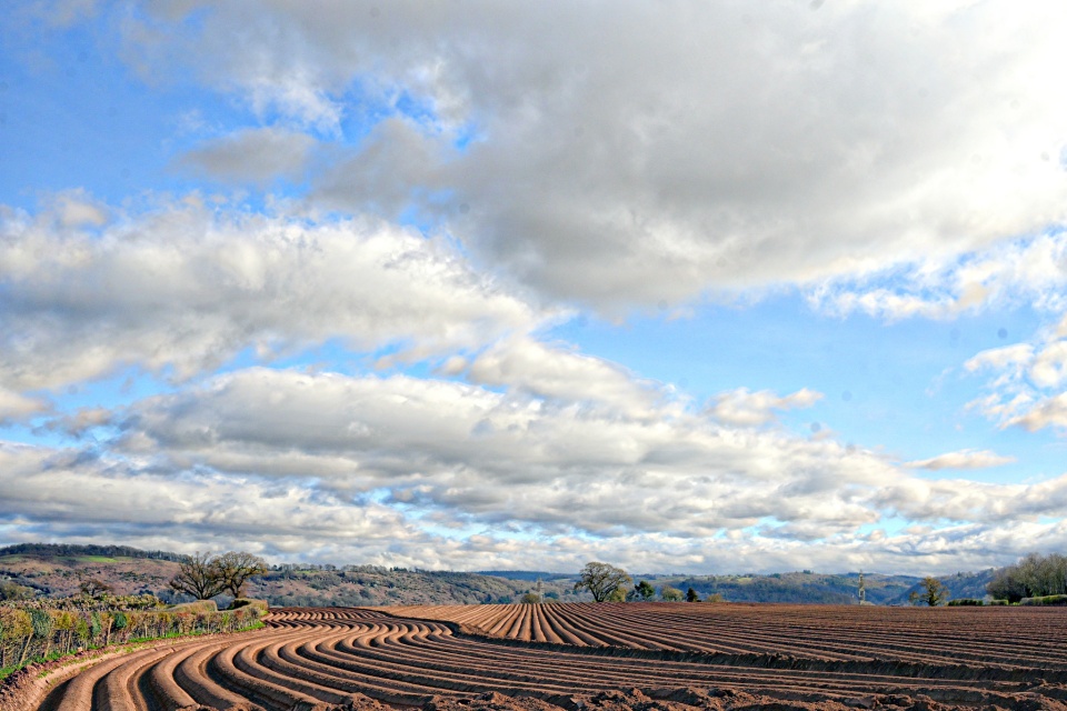 Ploughed | BobsBlips | Blipfoto