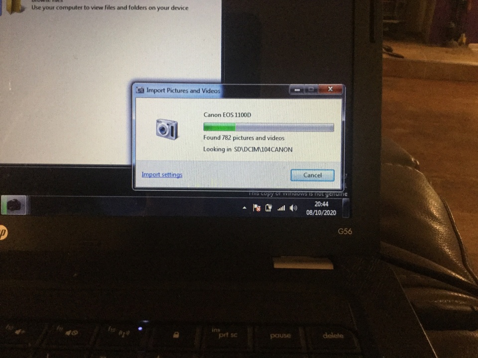 Finally | airedaleknitter | Blipfoto