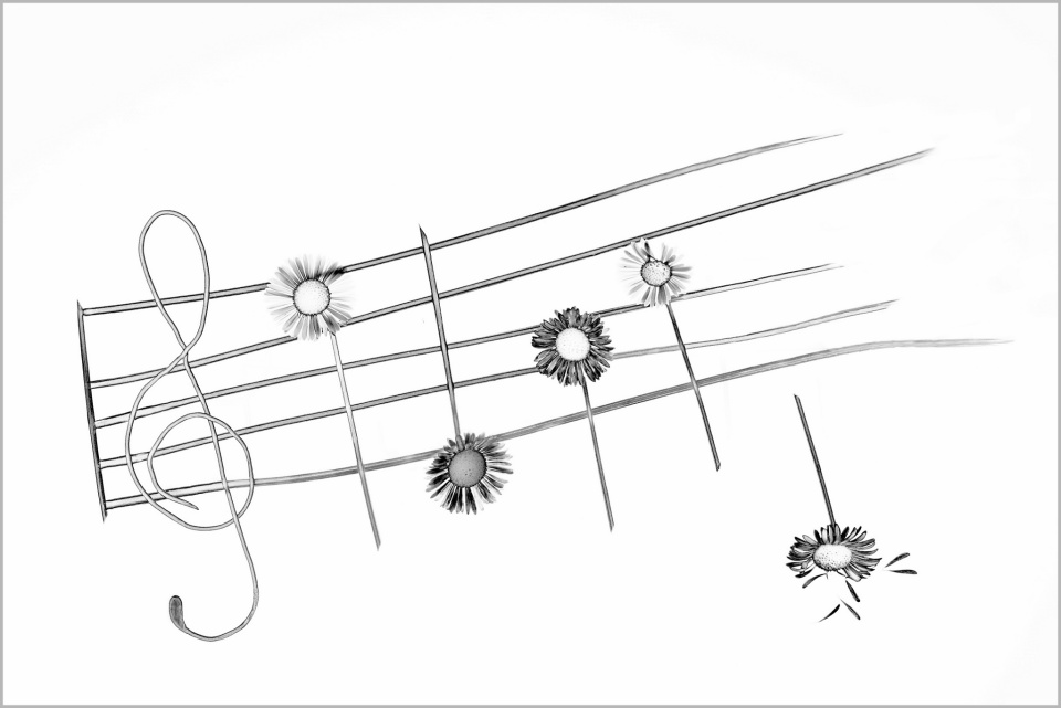 Home Made | rainie | Blipfoto