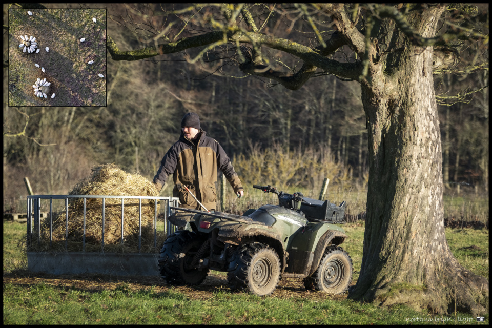 Rearranging ... | RobinDown | Blipfoto