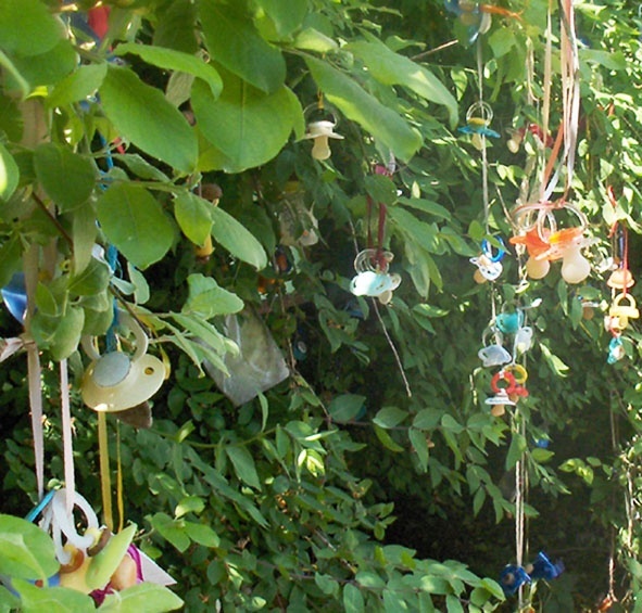 The Noo Noo Tree! | Tinks | Blipfoto