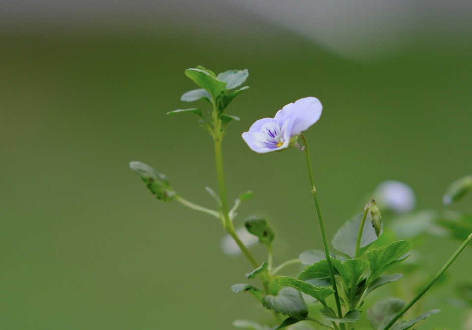 Hooray the weekend! | Energia | Blipfoto