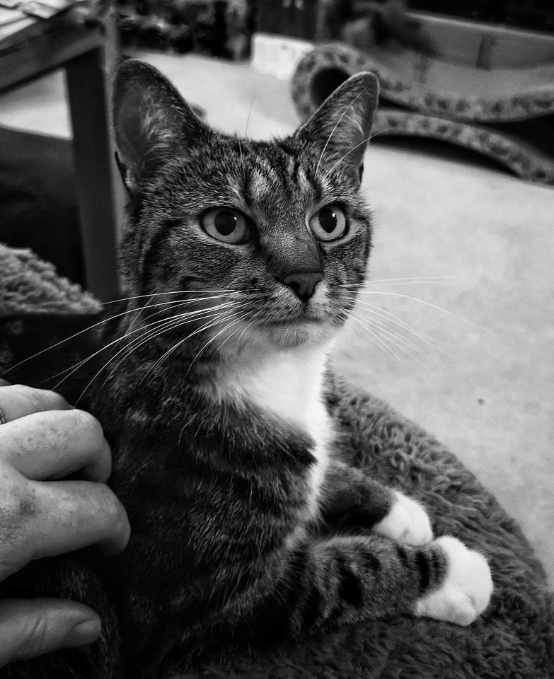 Tilly Tuesday | HelenJG | Blipfoto