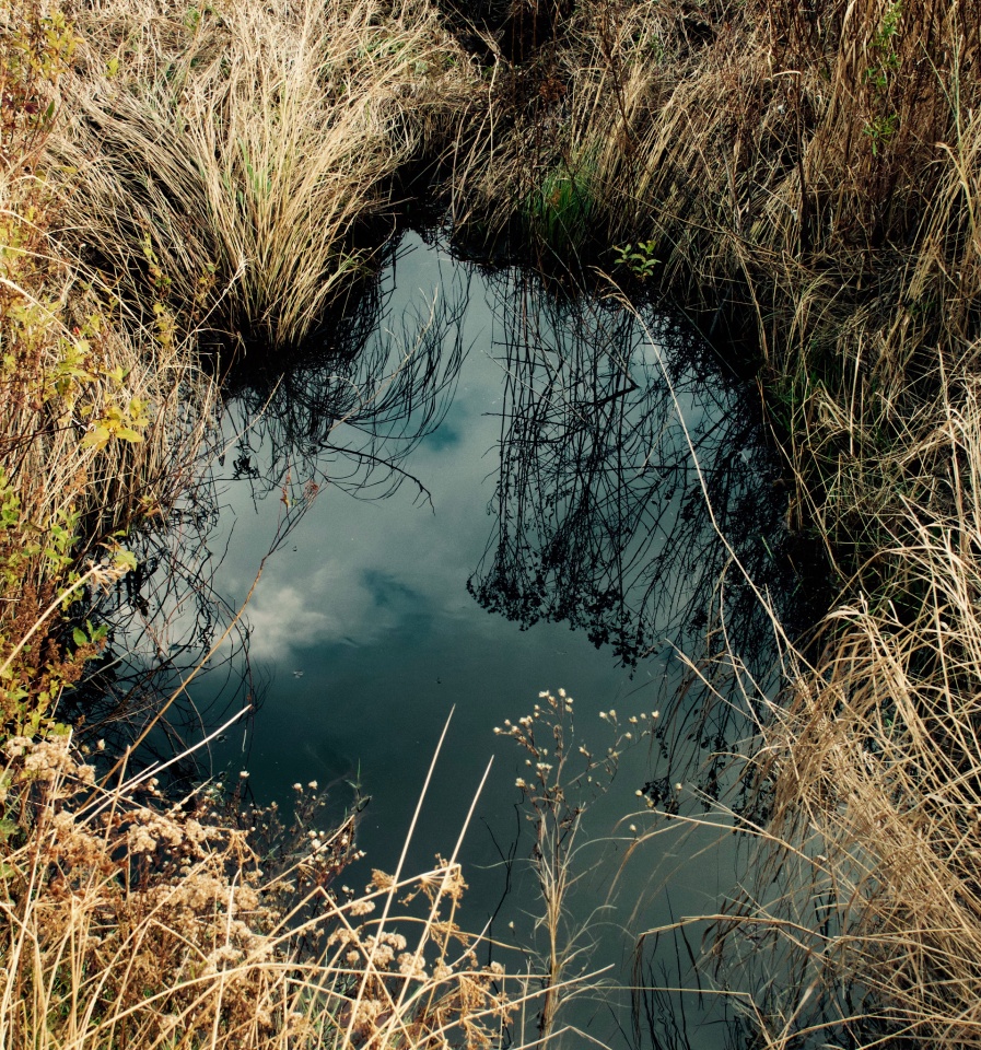 Tiny pond | TiciaS | Blipfoto