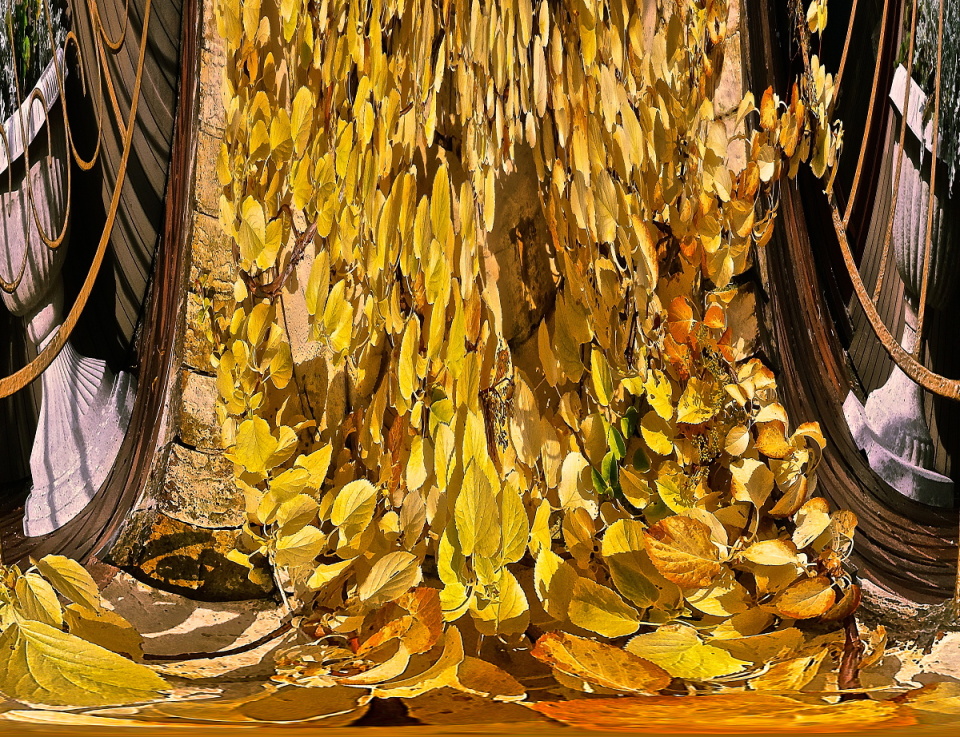 Golden Cascade | Photogen | Blipfoto