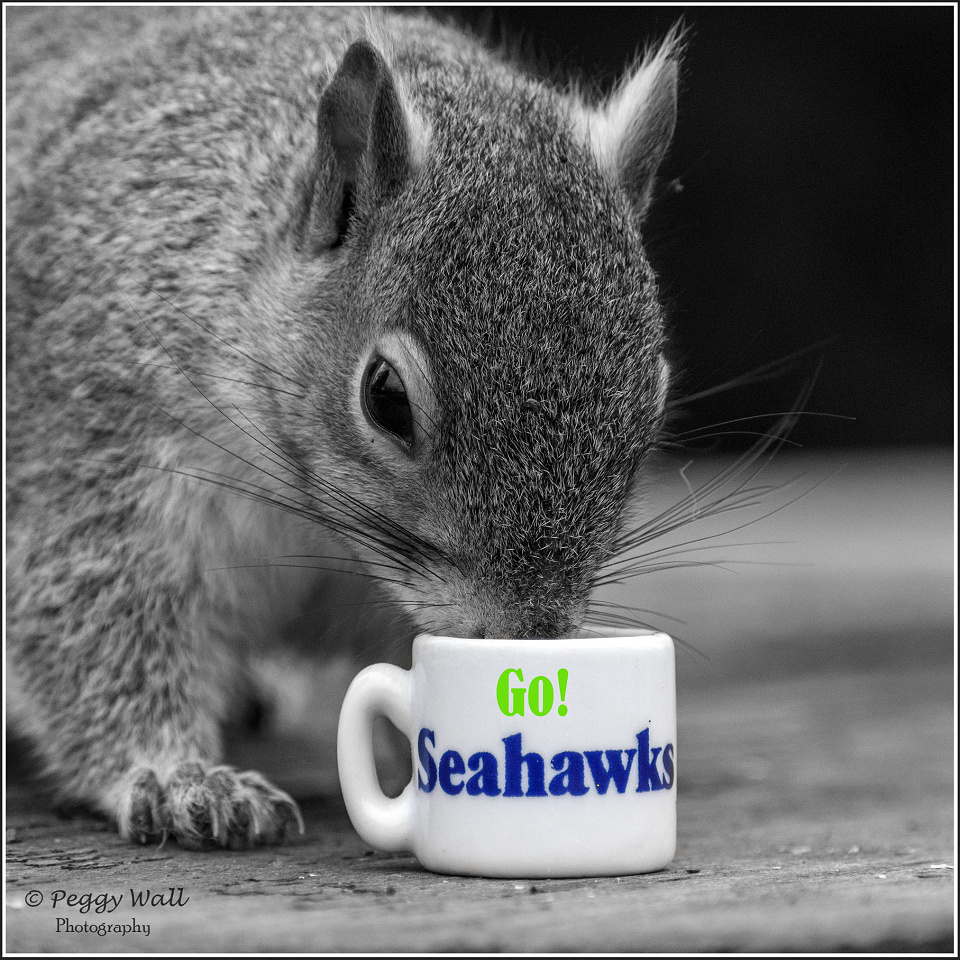 Tiny Tuesday .... | SquirrelsEtc | Blipfoto