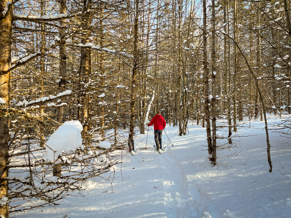Perfect winter day | Kd | Blipfoto