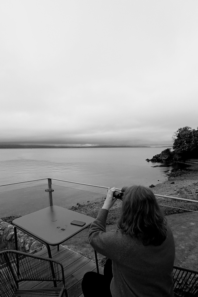 Burgher | middleman | Blipfoto