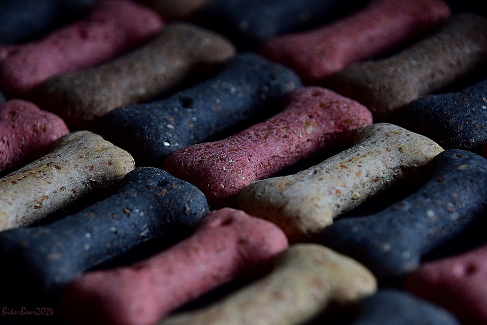 Tiny ........... | BikerBear | Blipfoto