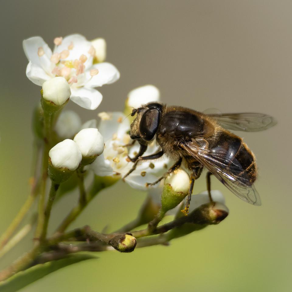 A Spring Afternoon | Bom | Blipfoto