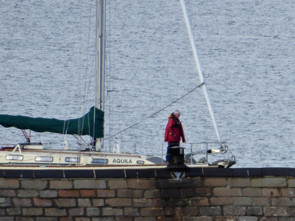 Sailing over the houses | Poppy | Blipfoto