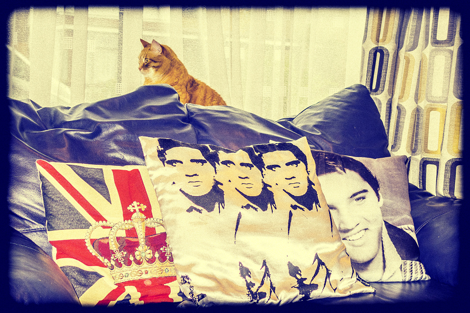 Keeping watch | billy_green | Blipfoto