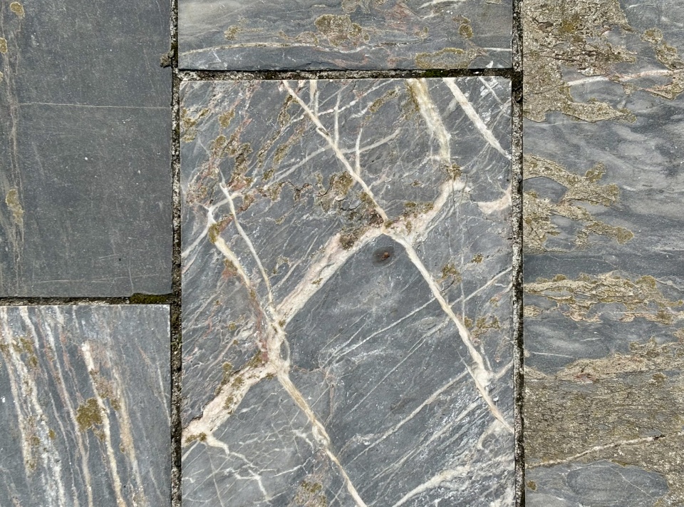 Beneath our Feet | Hyperion | Blipfoto