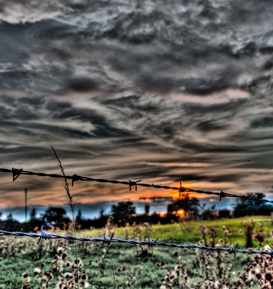 Evening walk. | CaptainSensible | Blipfoto