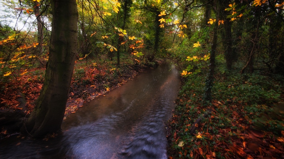 Autumn stream | Blippingvicar | Blipfoto