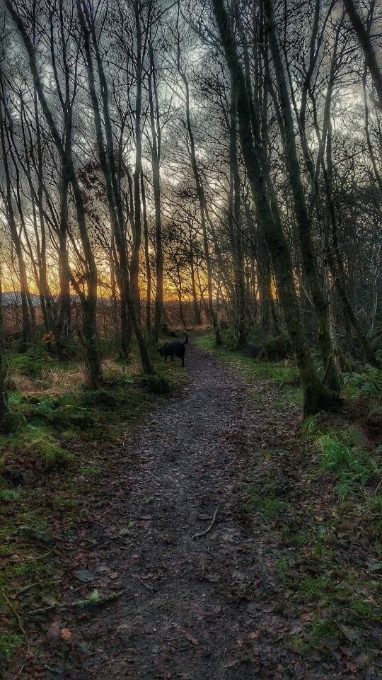 Twilight | snapper | Blipfoto