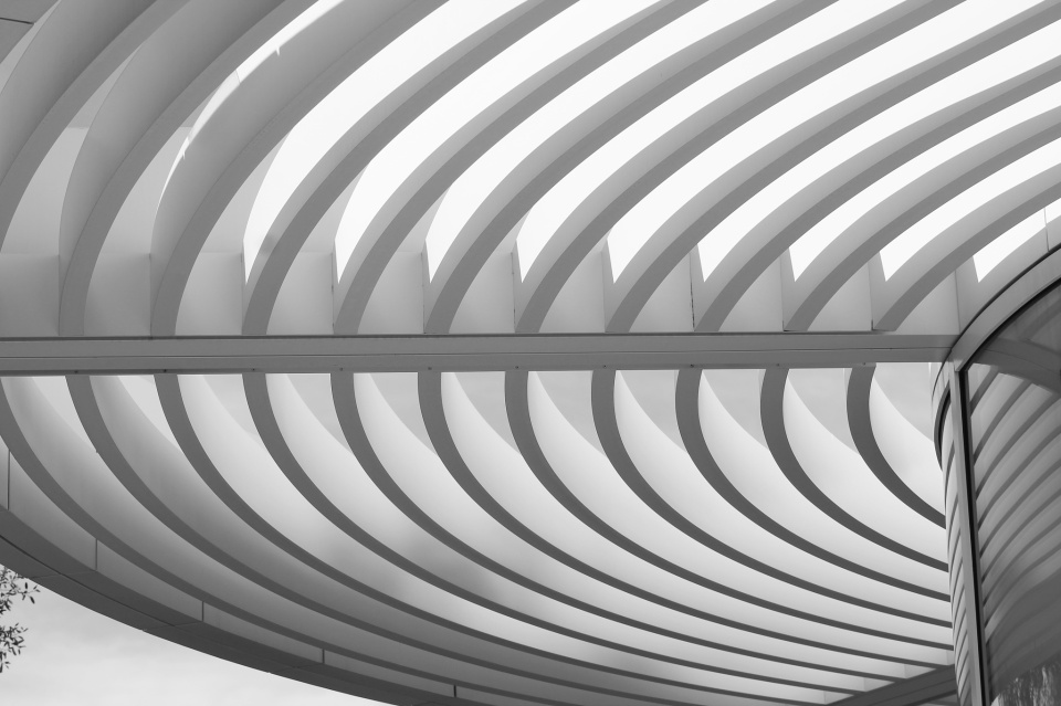 Curved Canopy | carolinav | Blipfoto