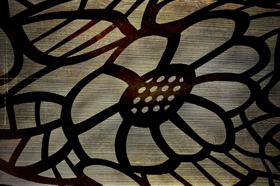 Arrival! | maureen6002 | Blipfoto