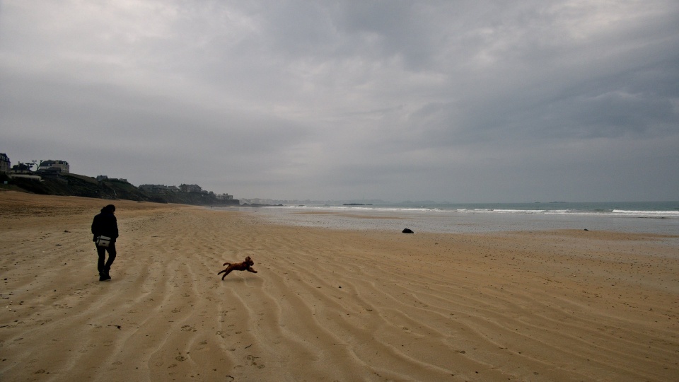 One woman and her mother's dog | ajt | Blipfoto