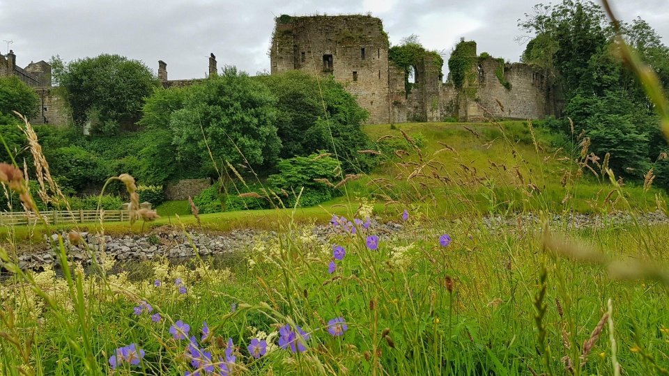 Cockermouth Castle. | trevorearthy | Blipfoto