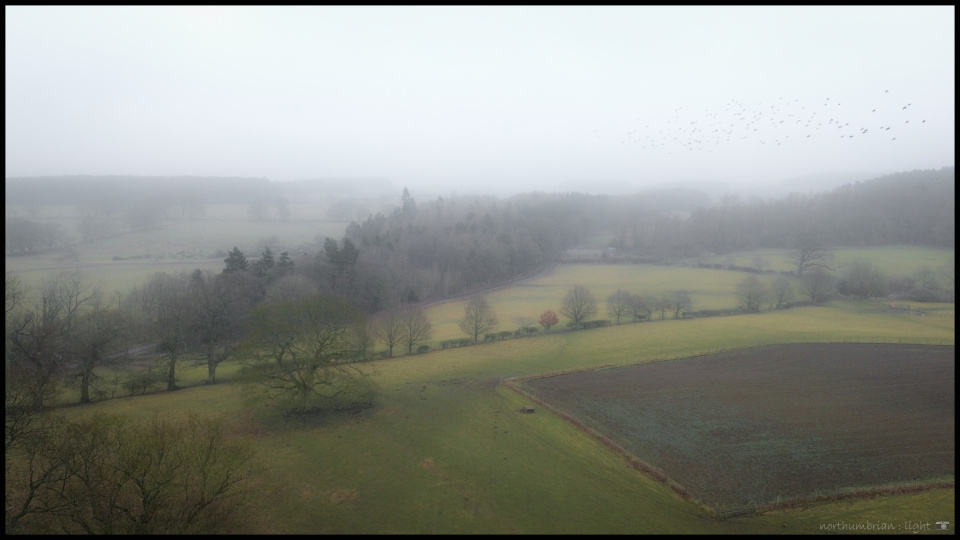 Misty morning ... | RobinDown | Blipfoto