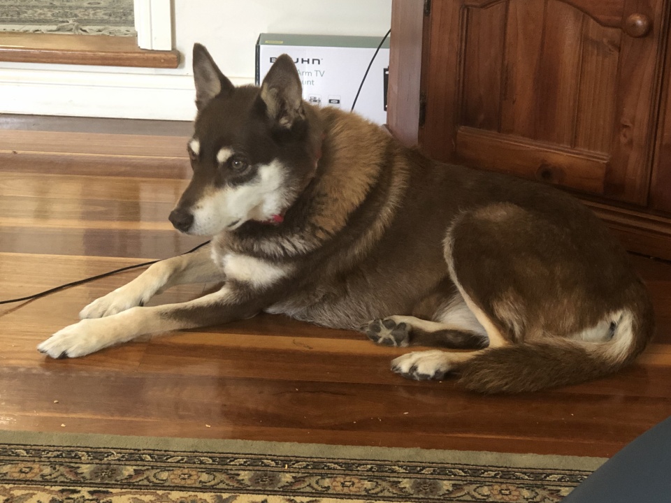 Bella | 59 | Blipfoto