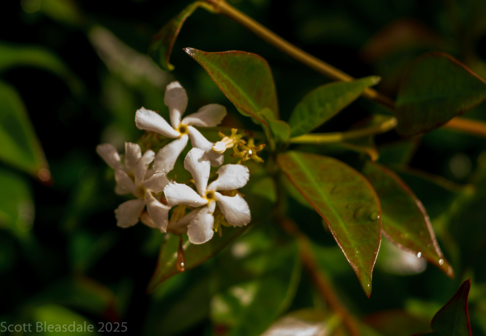 Another Soggy Day | ScottElbee | Blipfoto