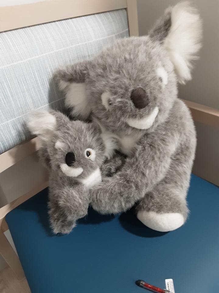 Koala mum & bub | JuliesJournal | Blipfoto